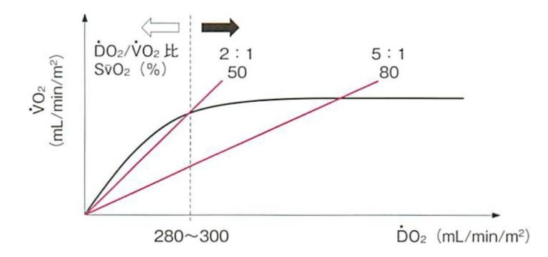 酸素運搬量(DO2)と酸素消費量(VO2)の考え方【VA-ECMO】｜踊る救急医